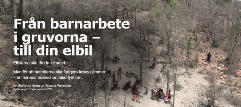 Barnarbete på Madagaskar – Tesla Club Sweden